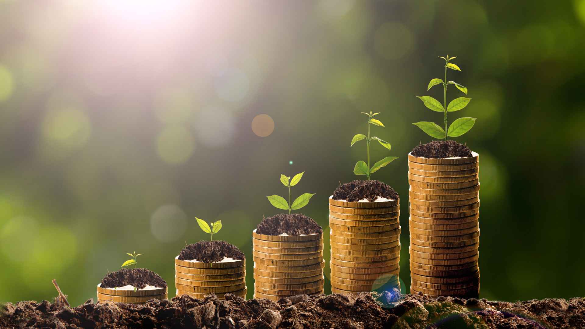Introduction to Climate Finance and Impact Investing - My Shade of Green